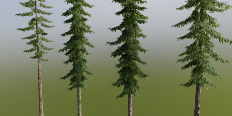 Realistic Pine Trees - Blender Market
