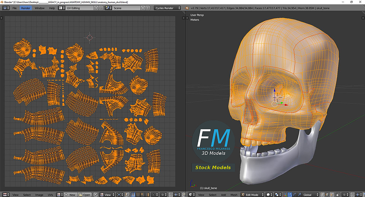 Anatomy Human Skull Blender Market Anatomy Human Skull Blender Market