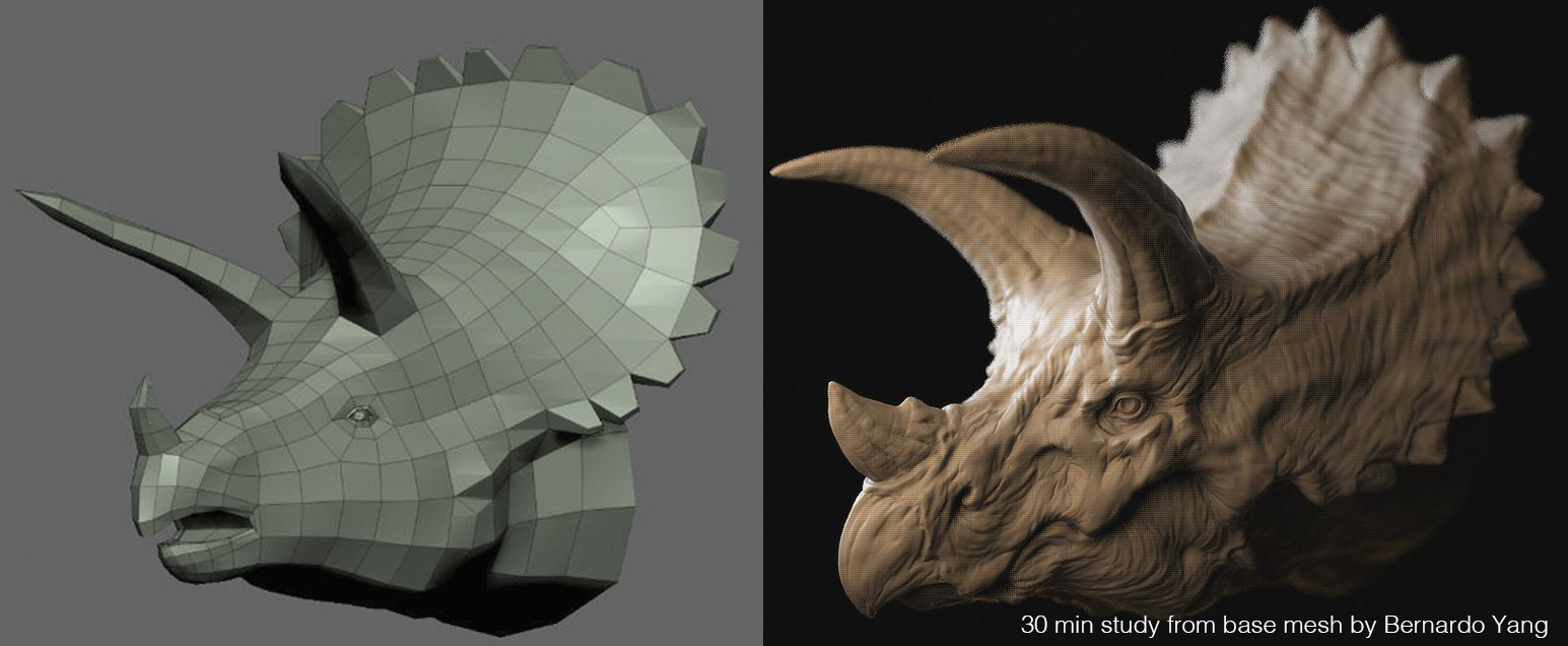 3d Meshes