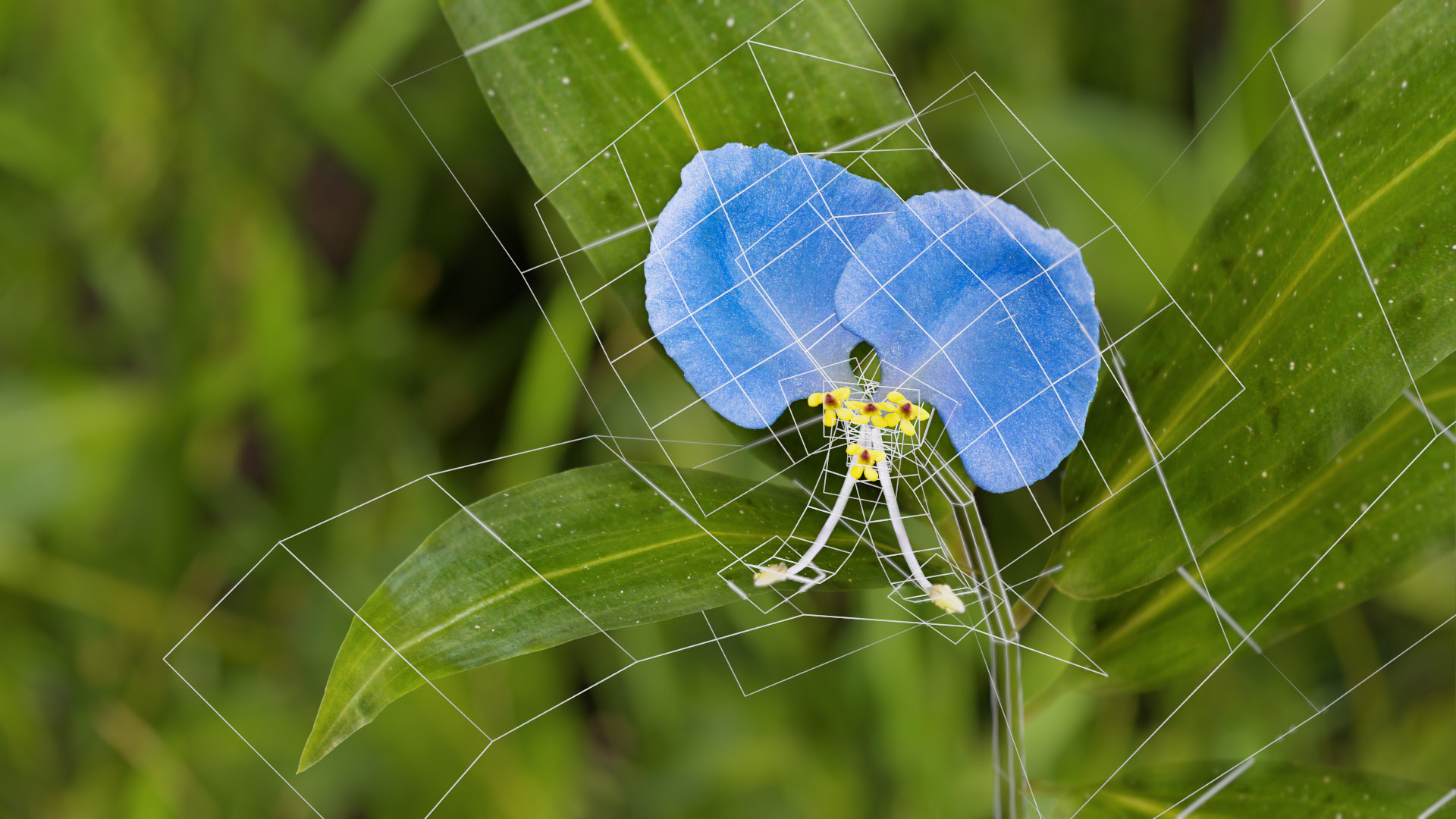 Pro Grass Blendernation Bazaar 5342
