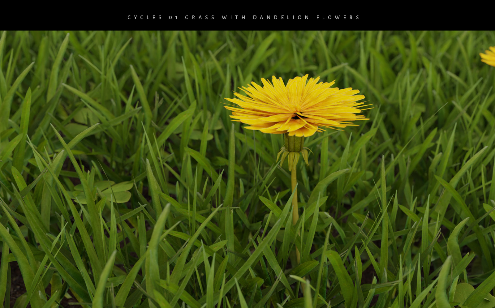 Pro Grass | BlenderNation Bazaar Pro Grass | BlenderNation Bazaar