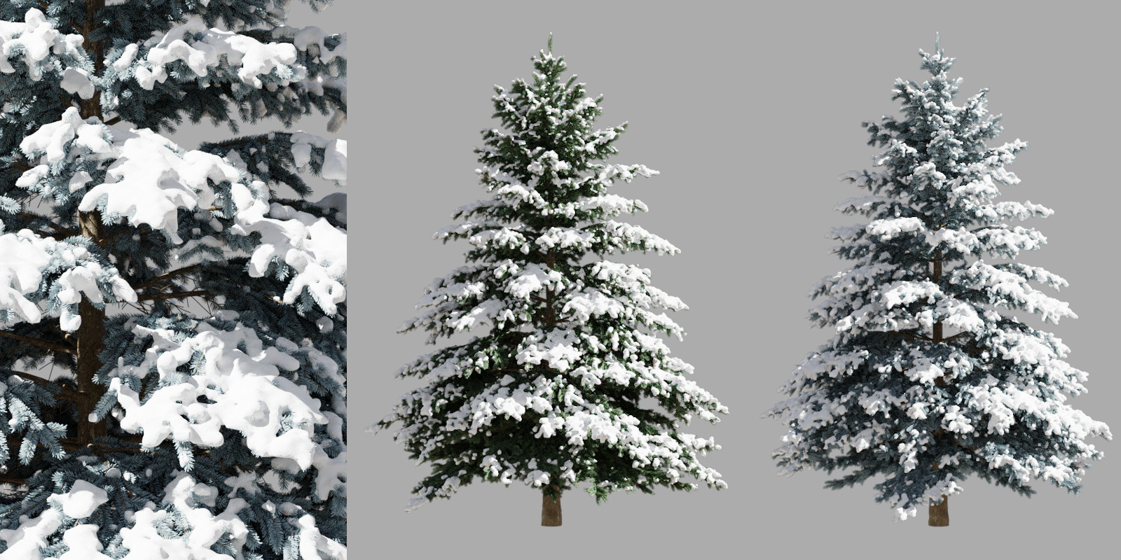 Snow Pine Tree Texture